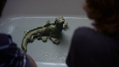 Remembering “Surface”: Sea Monsters, Dragons, and Lake Bell – Cinema Crazed